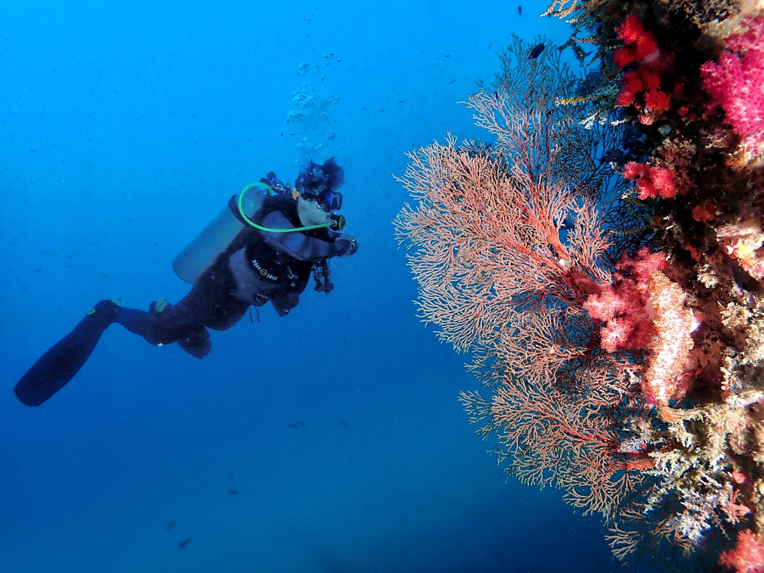 SIRI AKHIR: ‘Rig-to-Reef’ kayakan biodiversiti marin Sarawak - TVS
